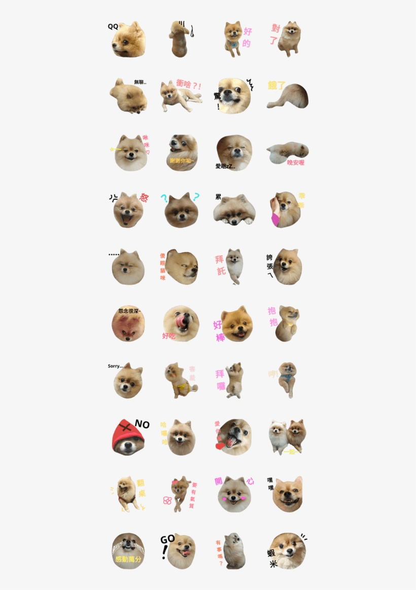 Kelly PNG Image | Transparent PNG Free Download on SeekPNG