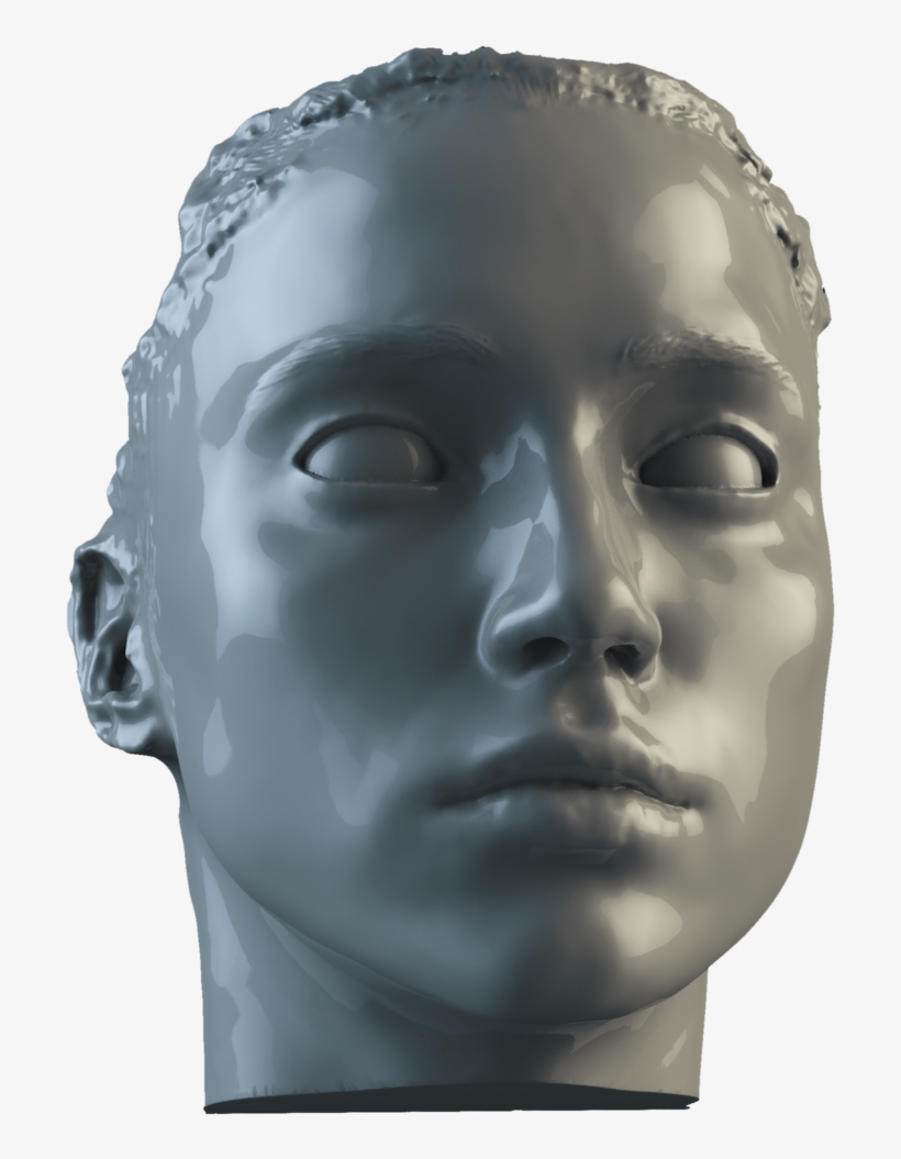 Bust PNG Image | Transparent PNG Free Download on SeekPNG