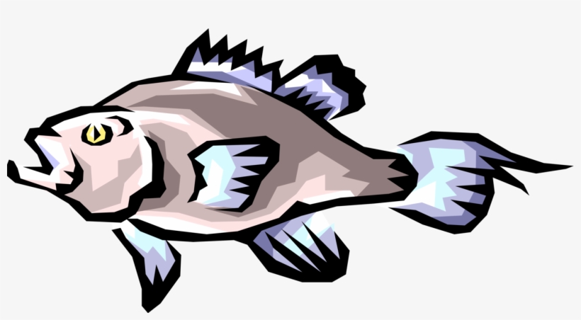 Vector Illustration Of Freshwater Gamefish Fish - Fisch PNG Image ...