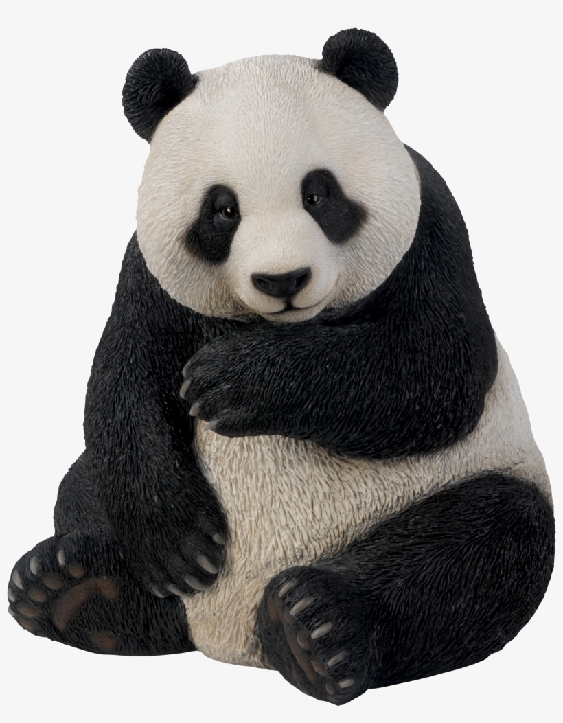 Natures Friends Panda B Box/6 - Vivid Arts Panda PNG Image ...