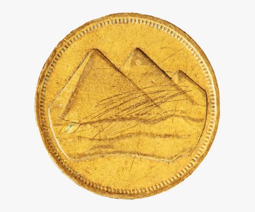 Camel - Coin PNG Image | Transparent PNG Free Download on SeekPNG