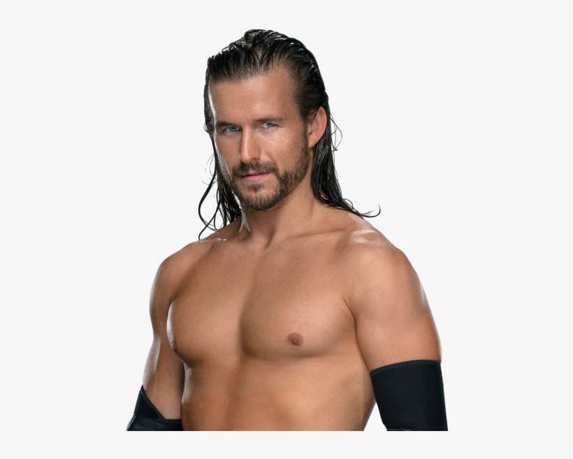 Adam Cole - Wwe Adam Cole Png PNG Image | Transparent PNG Free Download ...