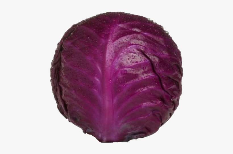 Red-cabbage - Red Cabbage Png PNG Image | Transparent PNG Free Download ...