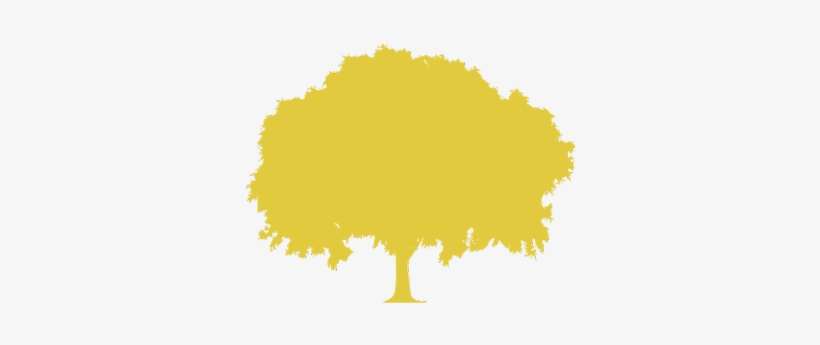 Old Tree Design - Дерево Силуэт Бесплатно PNG Image | Transparent PNG ...