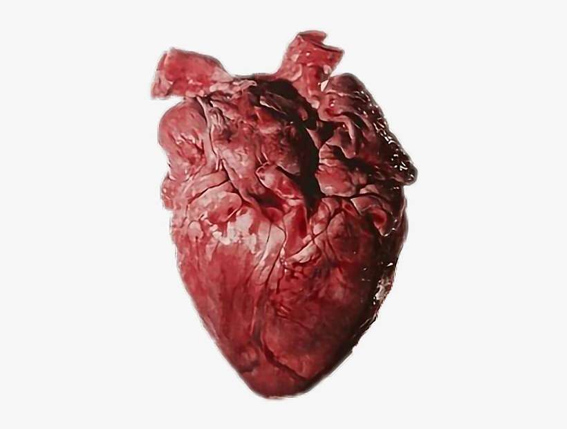 Heart, Png Real - Photography PNG Image | Transparent PNG Free Download ...