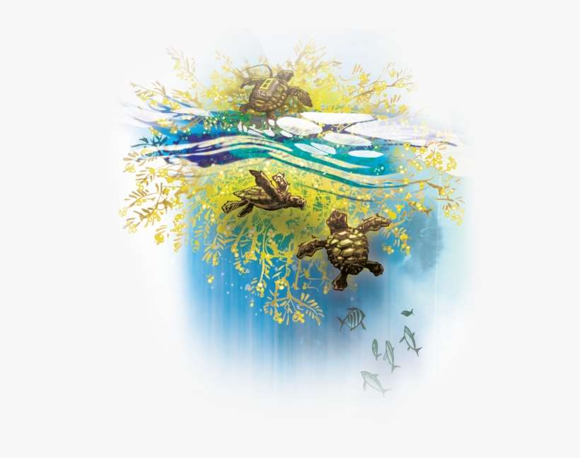 Hatchling Loggerhead Turtles That Find Refuge In Floating - Turtles In ...