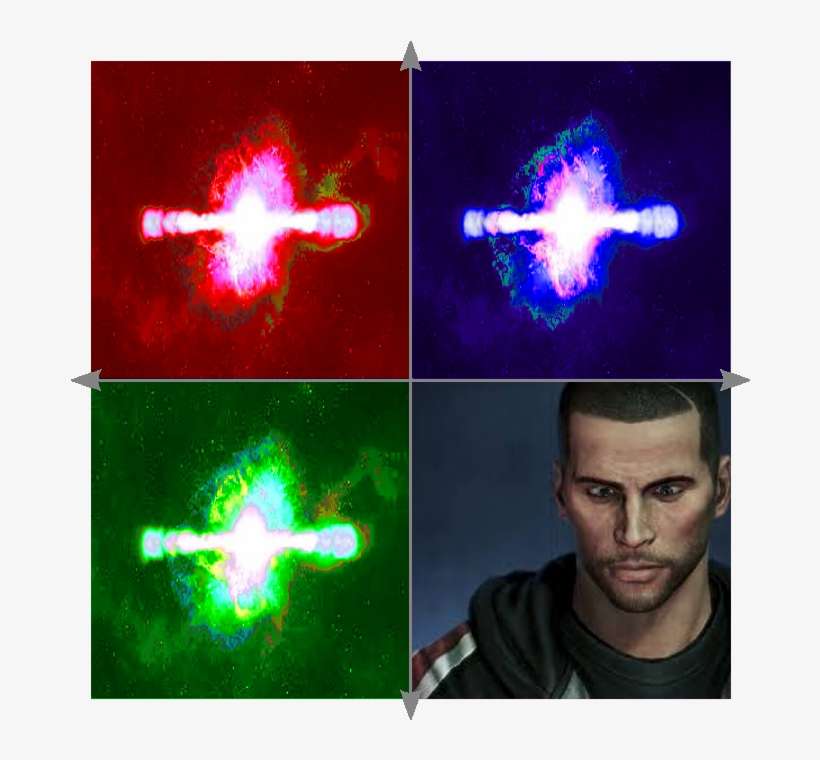 Download Political Compass | Transparent PNG Download | SeekPNG