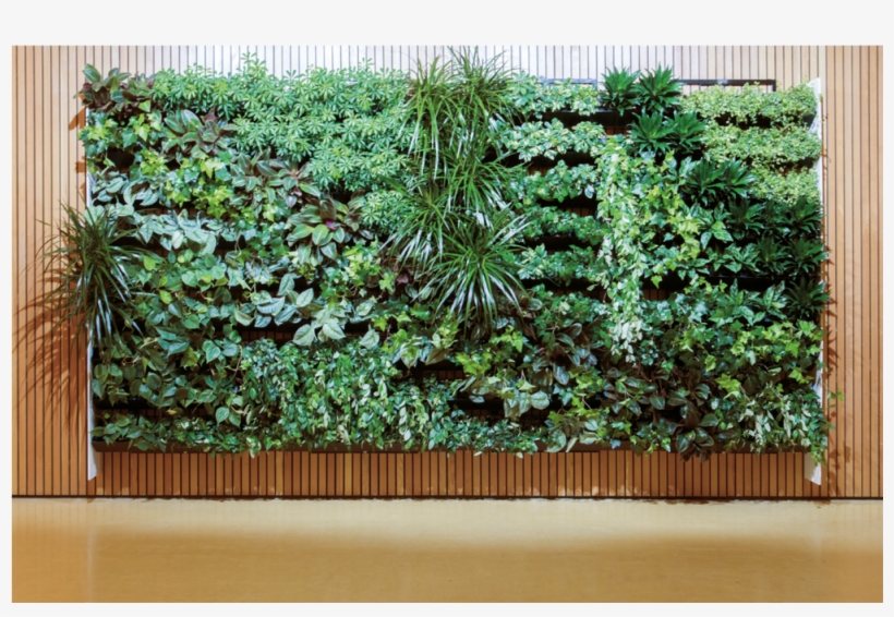 Nextgen 15 - Artificial Turf PNG Image | Transparent PNG Free Download ...