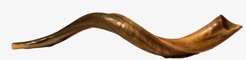 Shofar - Wood PNG Image | Transparent PNG Free Download on SeekPNG