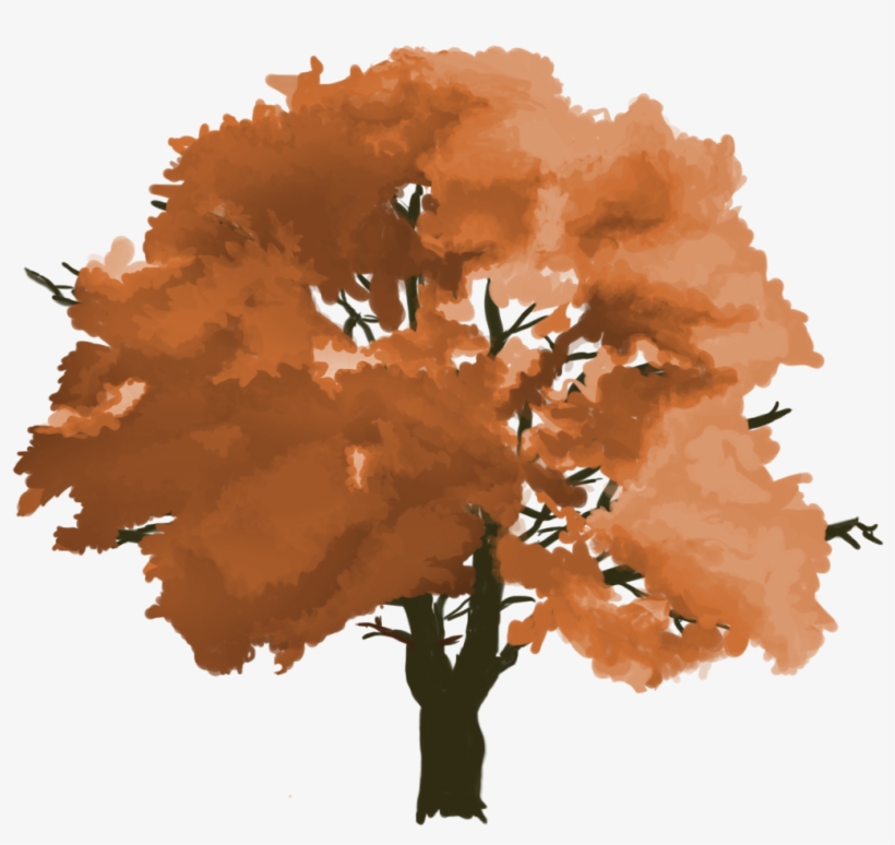 Maple PNG Image | Transparent PNG Free Download on SeekPNG