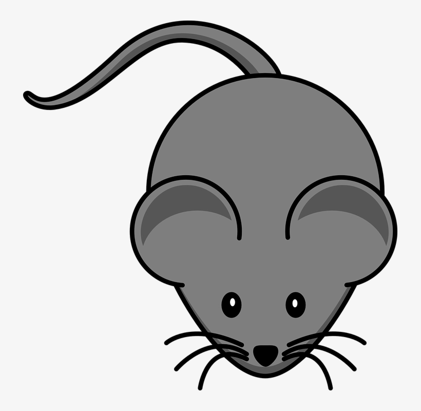 Black Mouse C57bl/6 Clip Art At Vector Clip Art Online,, 46% OFF