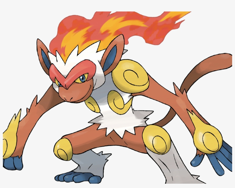Chimchar Pokemon M PNG Image | Transparent PNG Free Download on SeekPNG