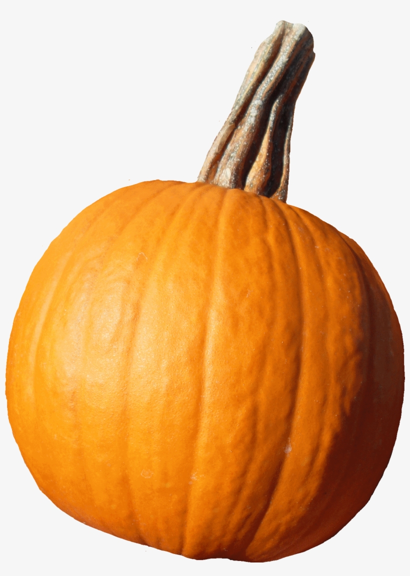 Poi Pumpkin 10 PNG Image | Transparent PNG Free Download on SeekPNG