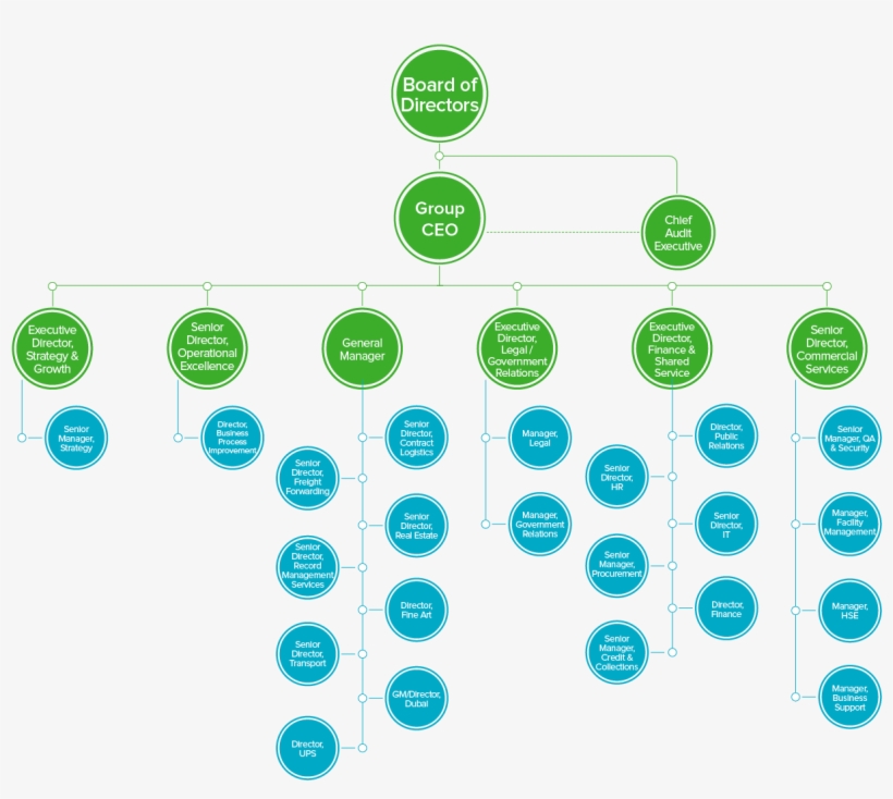 Organization Chart - Circle PNG Image | Transparent PNG Free Download ...