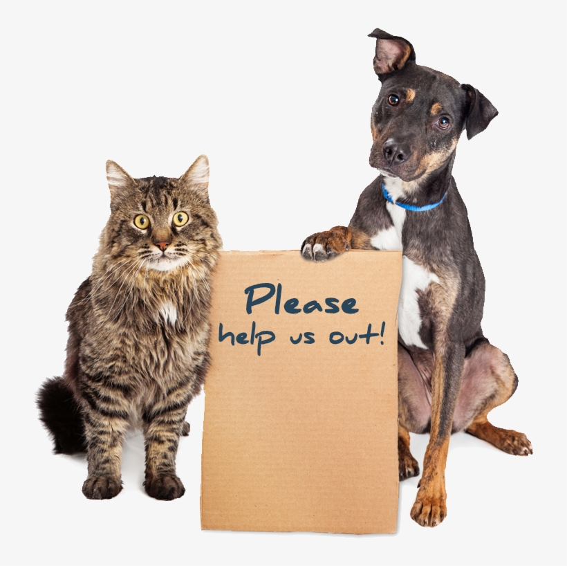 Donate - Please Donate To Help The Animals PNG Image | Transparent PNG ...