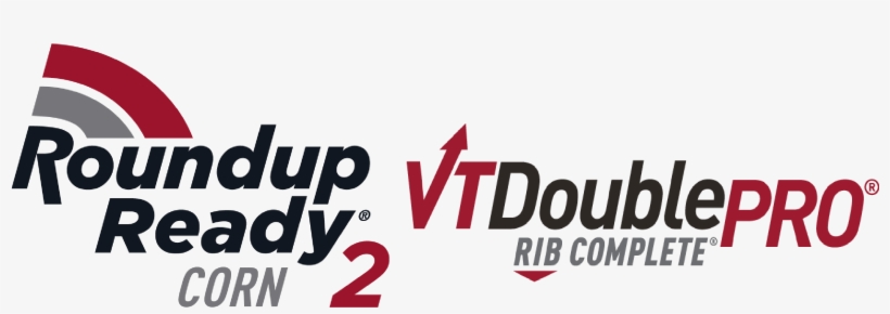 2749 Rr Corn 2 Vt2pro - Graphic Design PNG Image | Transparent PNG Free ...