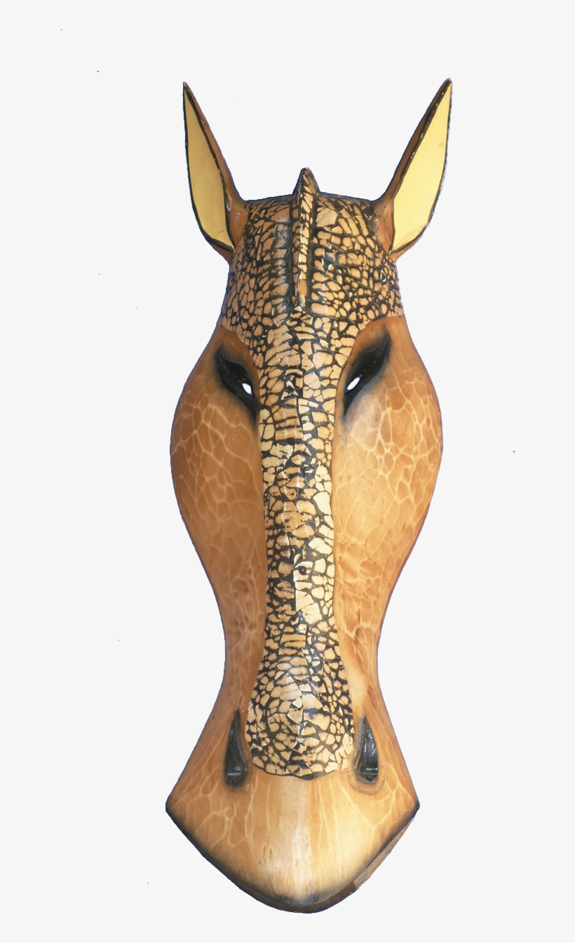 Mare PNG Image | Transparent PNG Free Download on SeekPNG