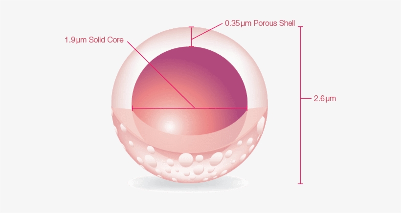 Aeris Peptide Columns Are Designed For The Following - Circle PNG Image ...