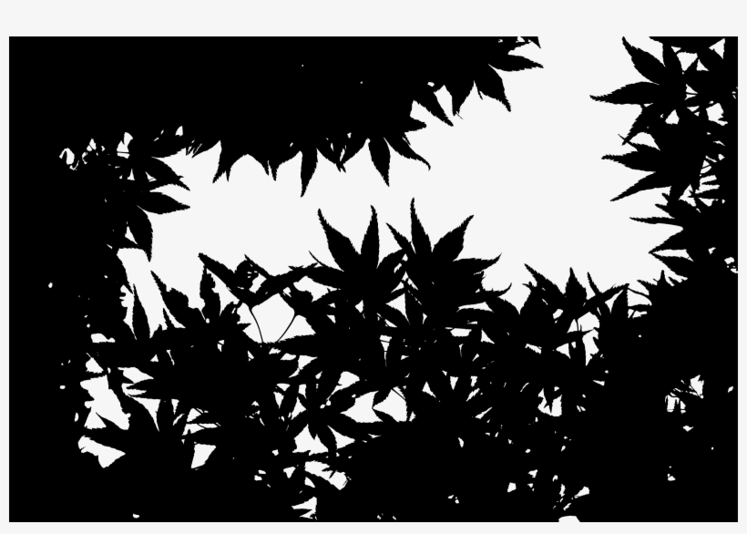 Big Image - Silhouette PNG Image | Transparent PNG Free Download on SeekPNG