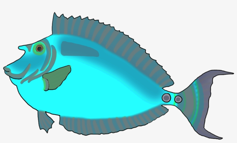 Download Colorful Blue Green Fish | Transparent PNG Download | SeekPNG