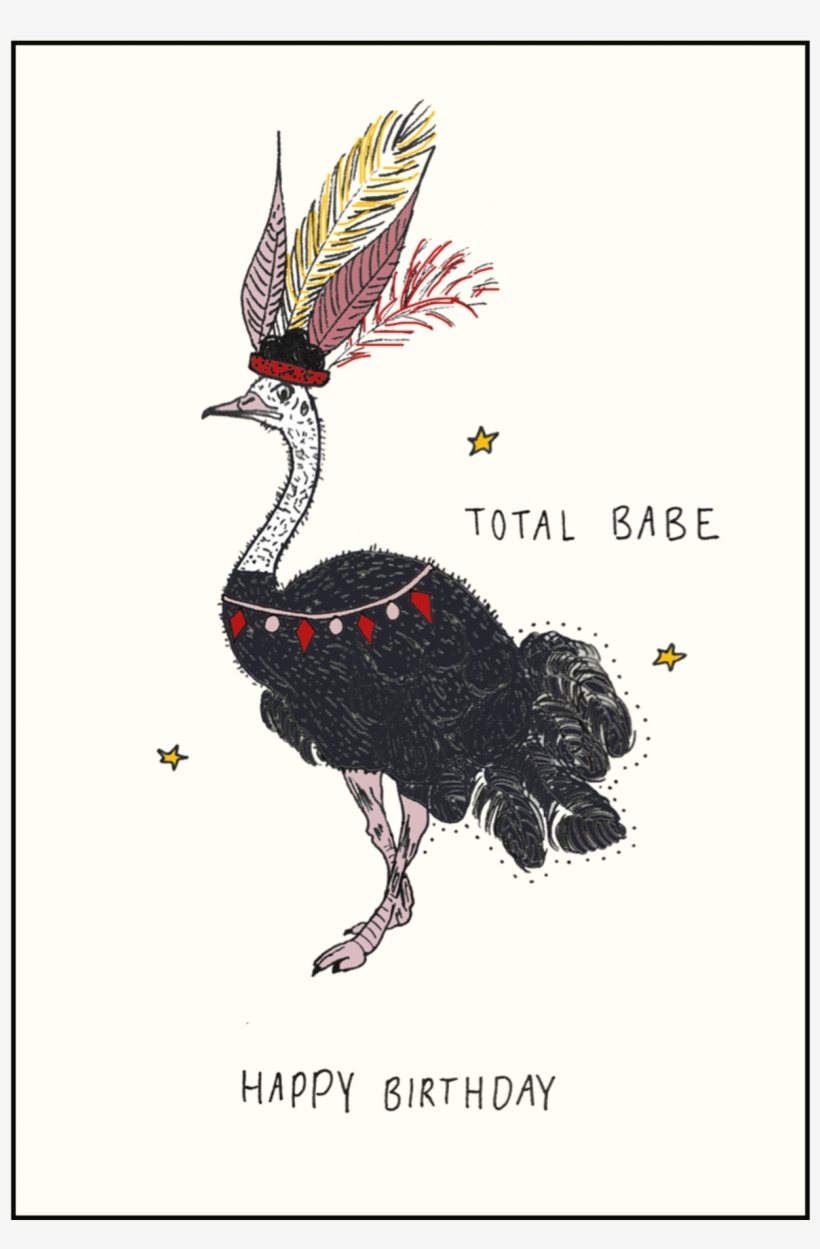 Anna Nina Cards Happy Birthday Ostrich - Illustration PNG Image ...