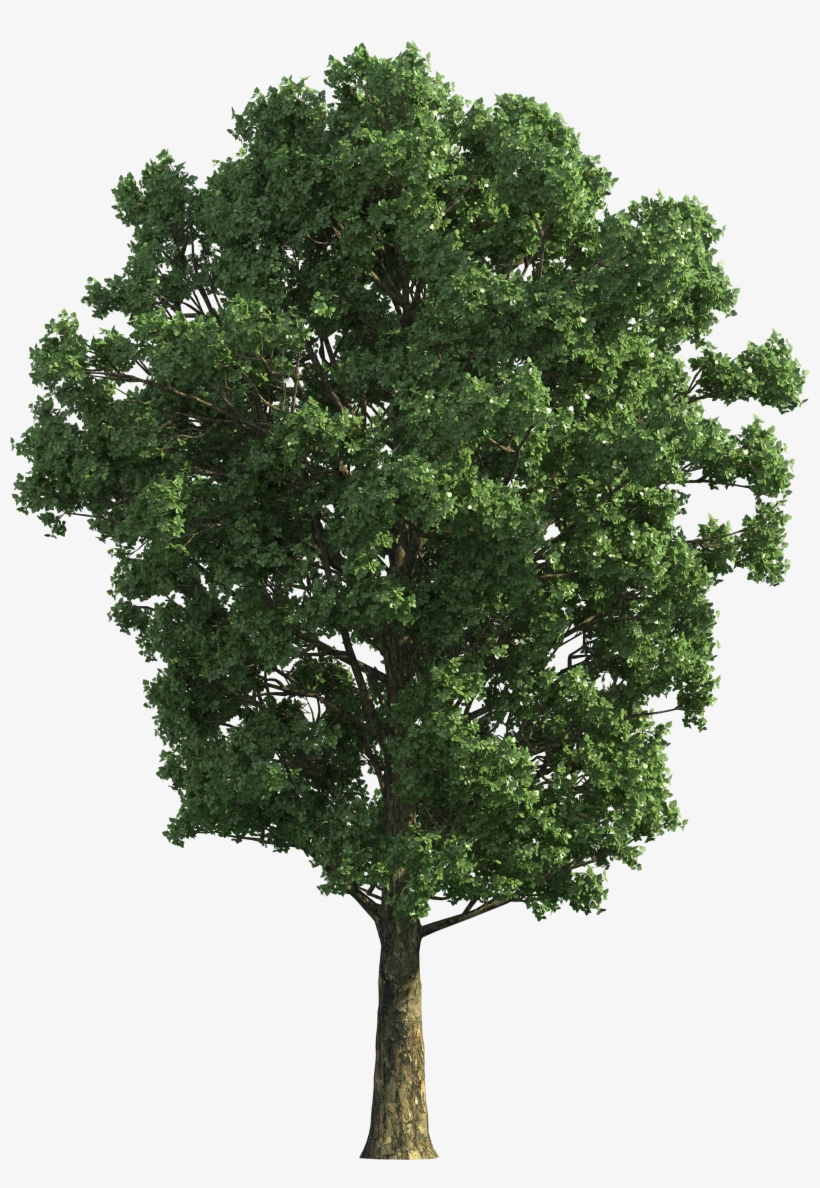 Product Item PNG Image | Transparent PNG Free Download on SeekPNG