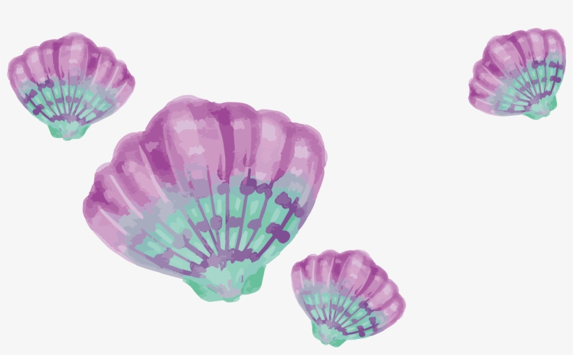 Painting Drawing Download Shells - Purple And Turquoise Shells PNG ...