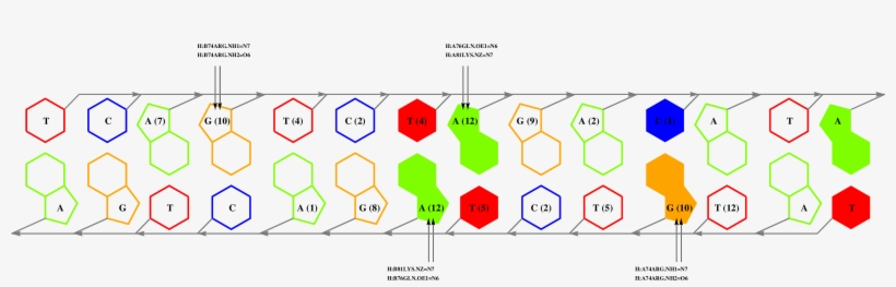 Interface Graph Thumbnail - Diagram PNG Image | Transparent PNG Free ...