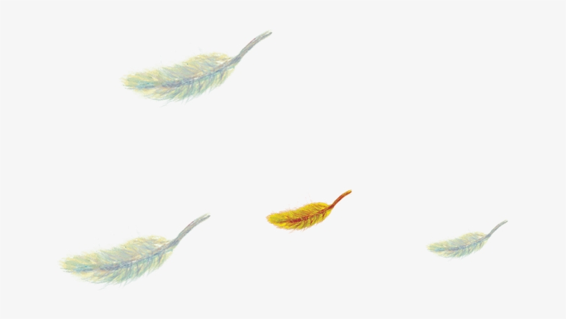 Stylishly Accessorised - American Tree Creeper PNG Image | Transparent ...