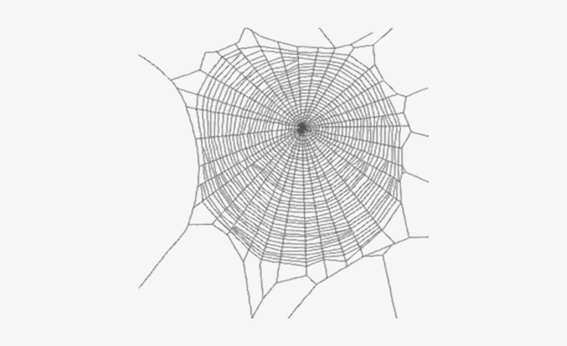 Png Cobweb - Cob Web PNG Image | Transparent PNG Free Download on SeekPNG