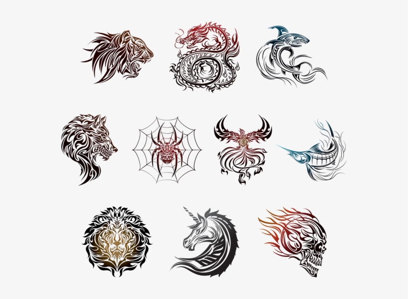 Vector Graphics PNG Image | Transparent PNG Free Download on SeekPNG