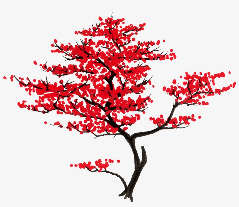 Japanese Maple Varieties - Red Japanese Maple Png PNG Image ...