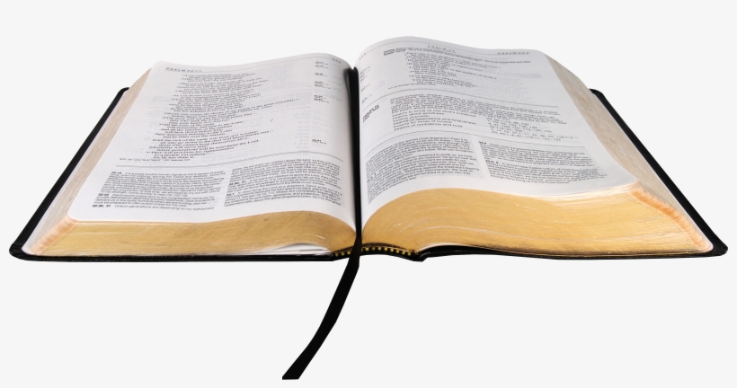Download Open Bible Png - Open Bible No Background | Transparent PNG ...
