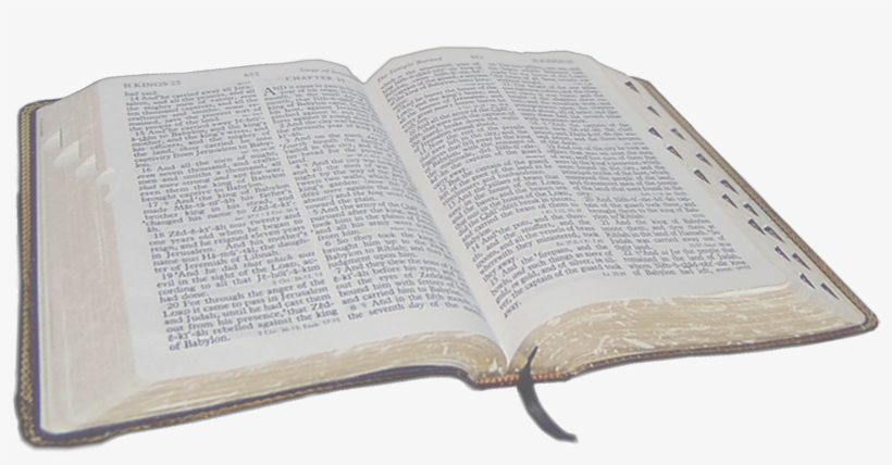 Bible Png - Bible Hd PNG Image | Transparent PNG Free Download on SeekPNG
