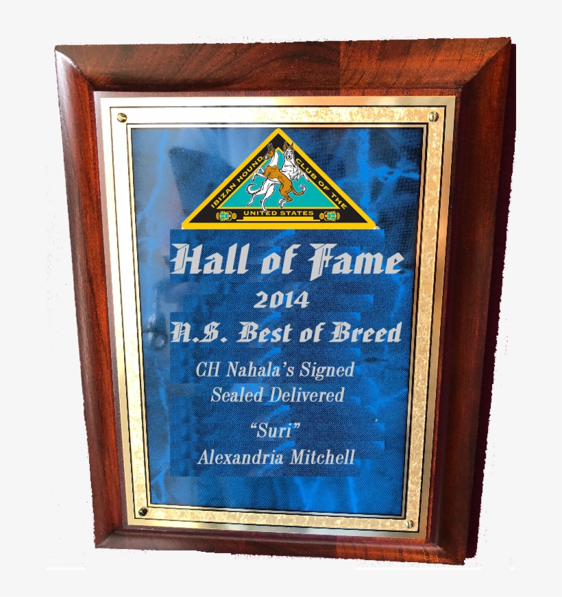 Awards Hof Plaque PNG Image | Transparent PNG Free Download on SeekPNG