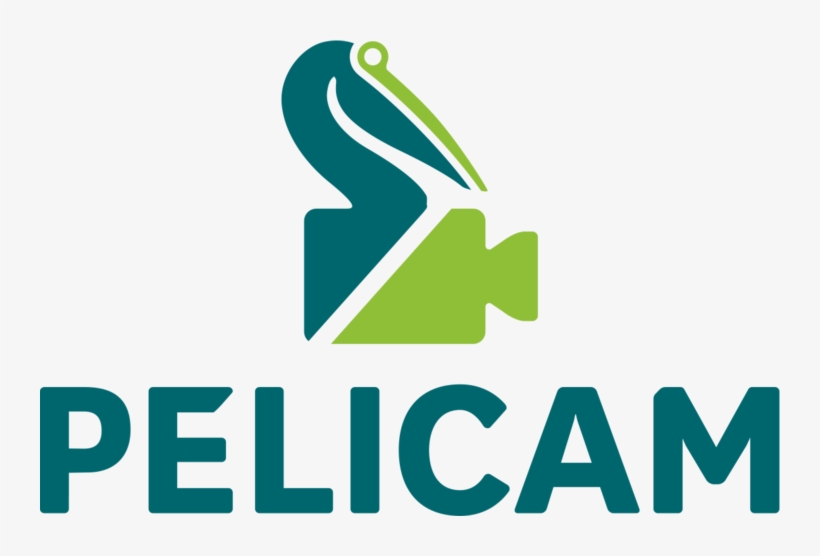 Logo-fin - Graphic Design PNG Image | Transparent PNG Free Download on ...