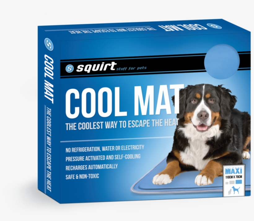 Squirt Cool Mat - Bernese Mountain Dog PNG Image | Transparent PNG Free ...