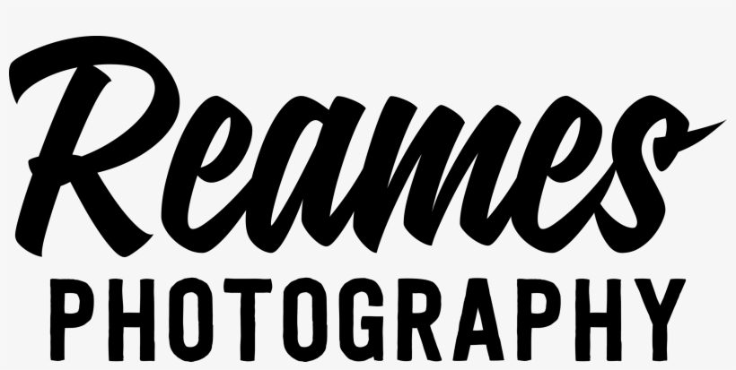 Reames Photography Logo - Pigeon Detectives PNG Image | Transparent PNG ...