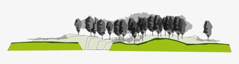 Activity - Herd PNG Image | Transparent PNG Free Download on SeekPNG