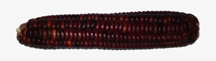 Red Cherokee PNG Image | Transparent PNG Free Download on SeekPNG