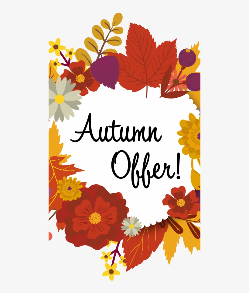 Download Autumn Offer Sticker - Tween Brands | Transparent PNG Download ...