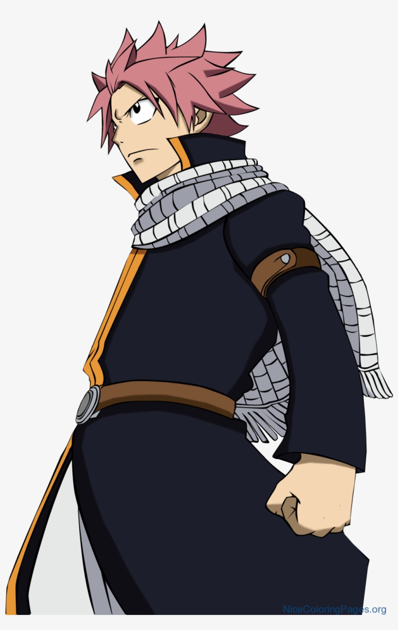 Natsu Dragneel Clipart PNG Image | Transparent PNG Free Download on SeekPNG