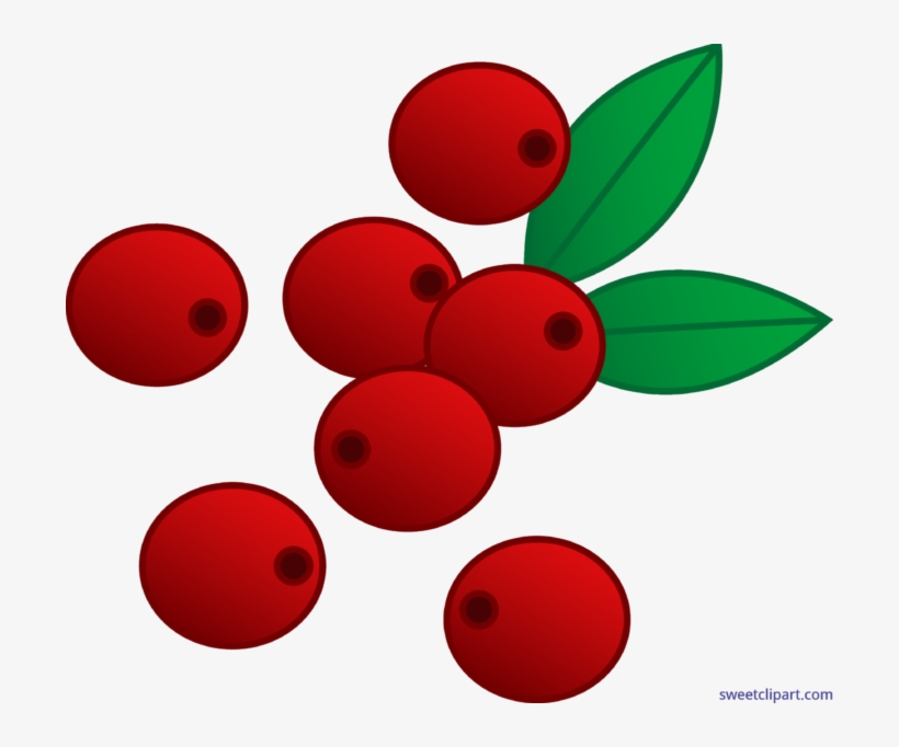 700 X 602 2 - Red Berries Clip Art PNG Image | Transparent PNG Free ...