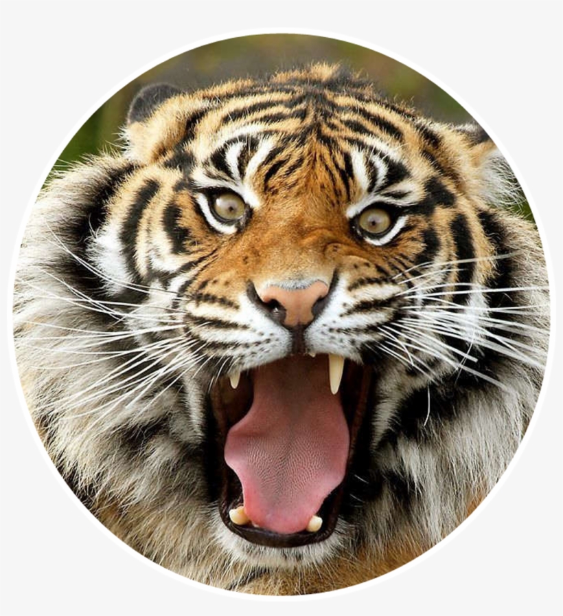 Point Defiance Zoo & Aquarium PNG Image | Transparent PNG Free Download ...