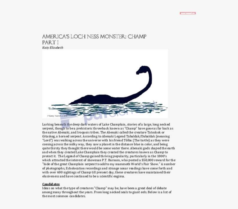 Pdf - Invertebrate PNG Image | Transparent PNG Free Download on SeekPNG