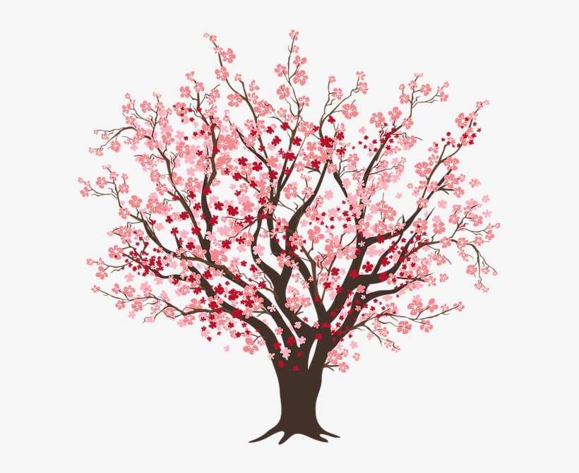 The Late Fort Worth Businessman Charles Tandy Sprouts - Cherry Blossom ...