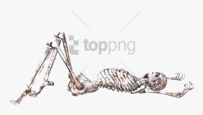 Free Png Download Skeleton Lying On Back Png Images - Skeleton Lying ...
