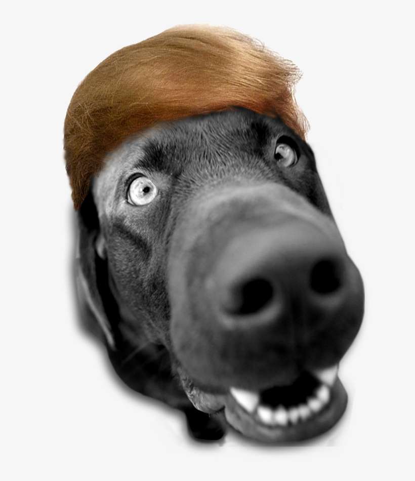 Some Websites Are Not Integrated, Sad - Cattle PNG Image | Transparent ...