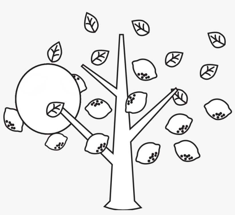 Drawing At Getdrawings Com Free For Personal - Line Art PNG Image ...