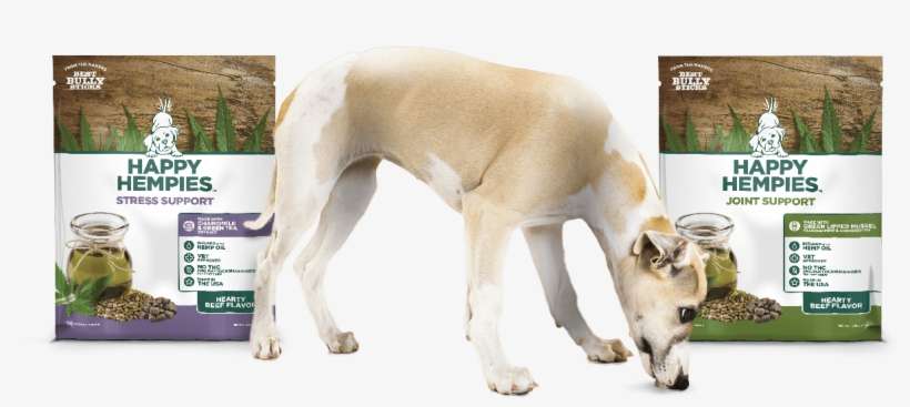 Next - Happy Hempies PNG Image | Transparent PNG Free Download on SeekPNG